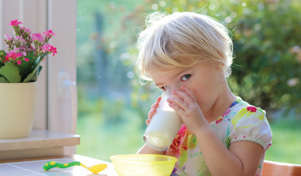 Why Oat Milk is so Popular in Malaysia - Sangla Foods | FMCG ...